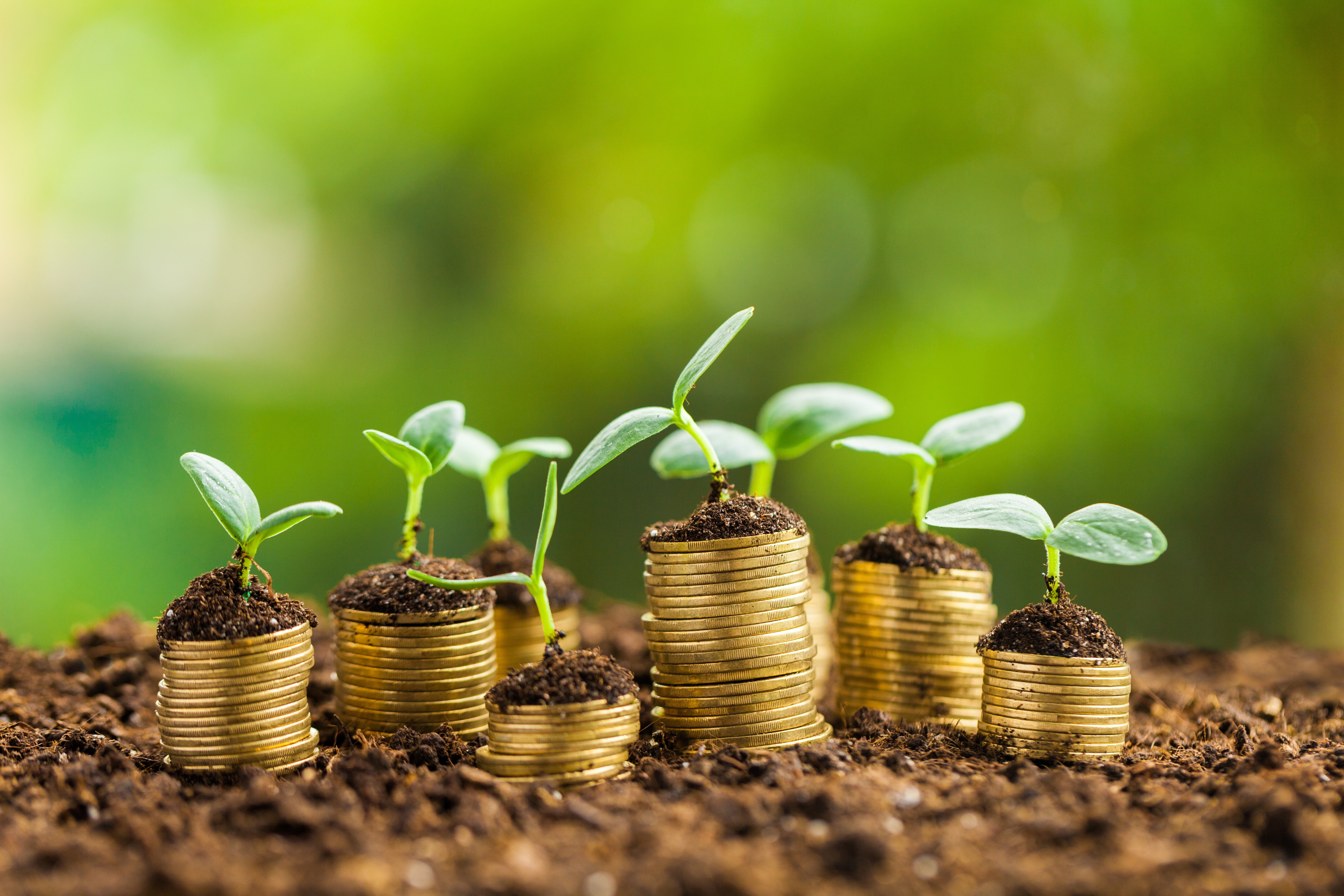 The Answer To Small Business Growth SponsoredLinX The Answer To Small Business Growth SponsoredLinX